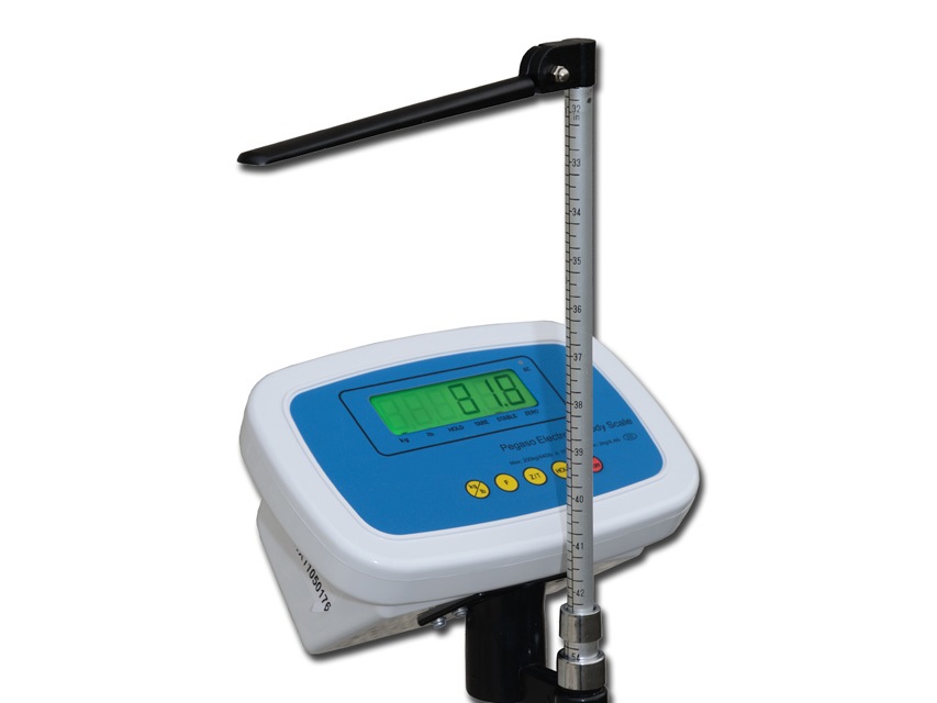 Balance Pégaso avec toise - Essormedical